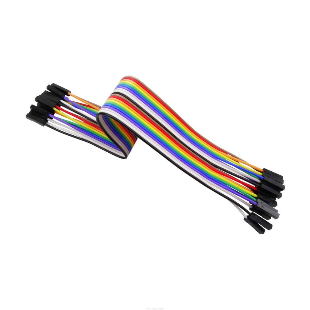 20 Pin Dişi-Dişi Jumper Kablo 20cm – Trudyo